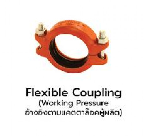 MECH model.1G Standard Rigid Coupling UL/FM #7633084